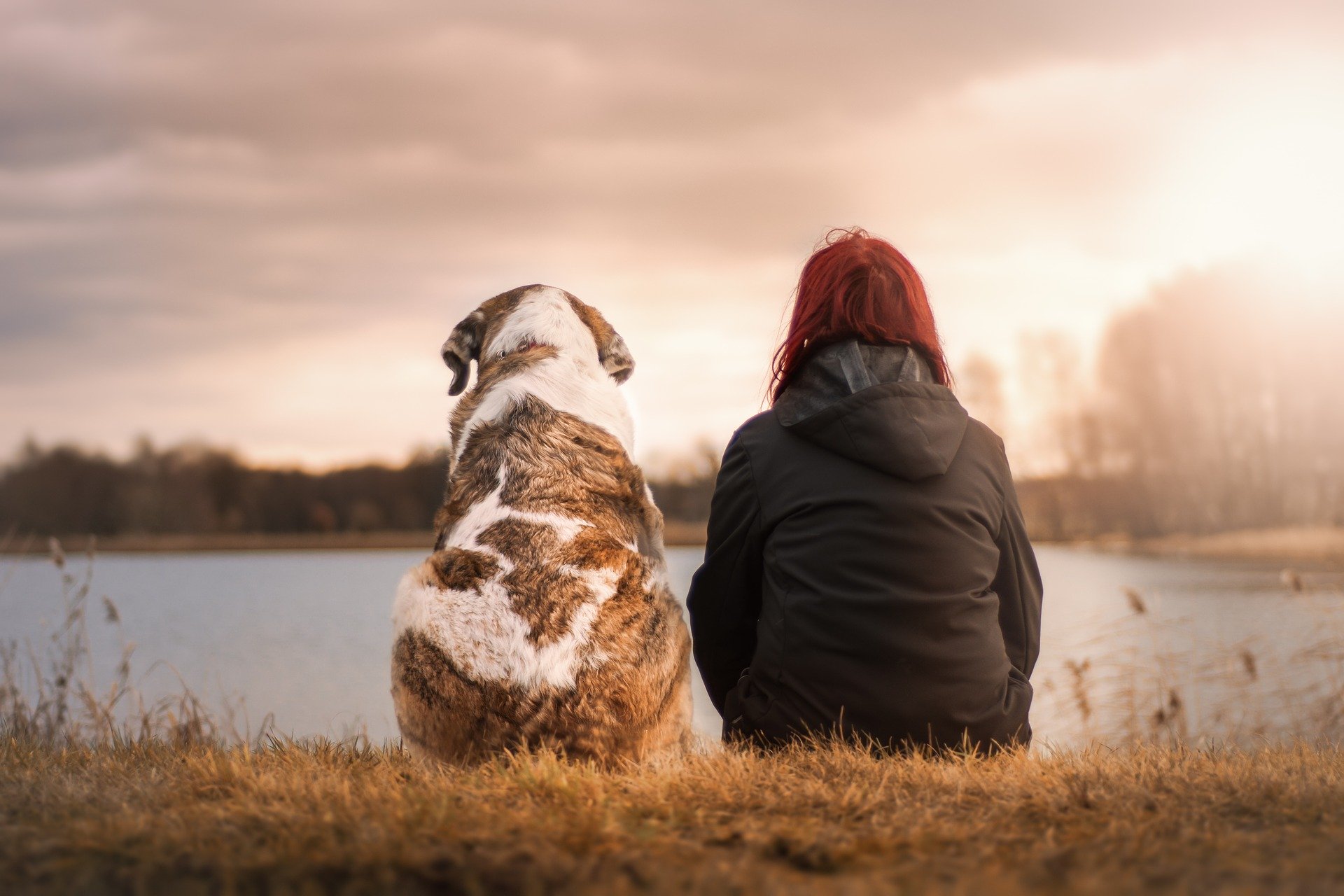 How To Write A Eulogy For Your Beloved Dog – Pet Eulogies
